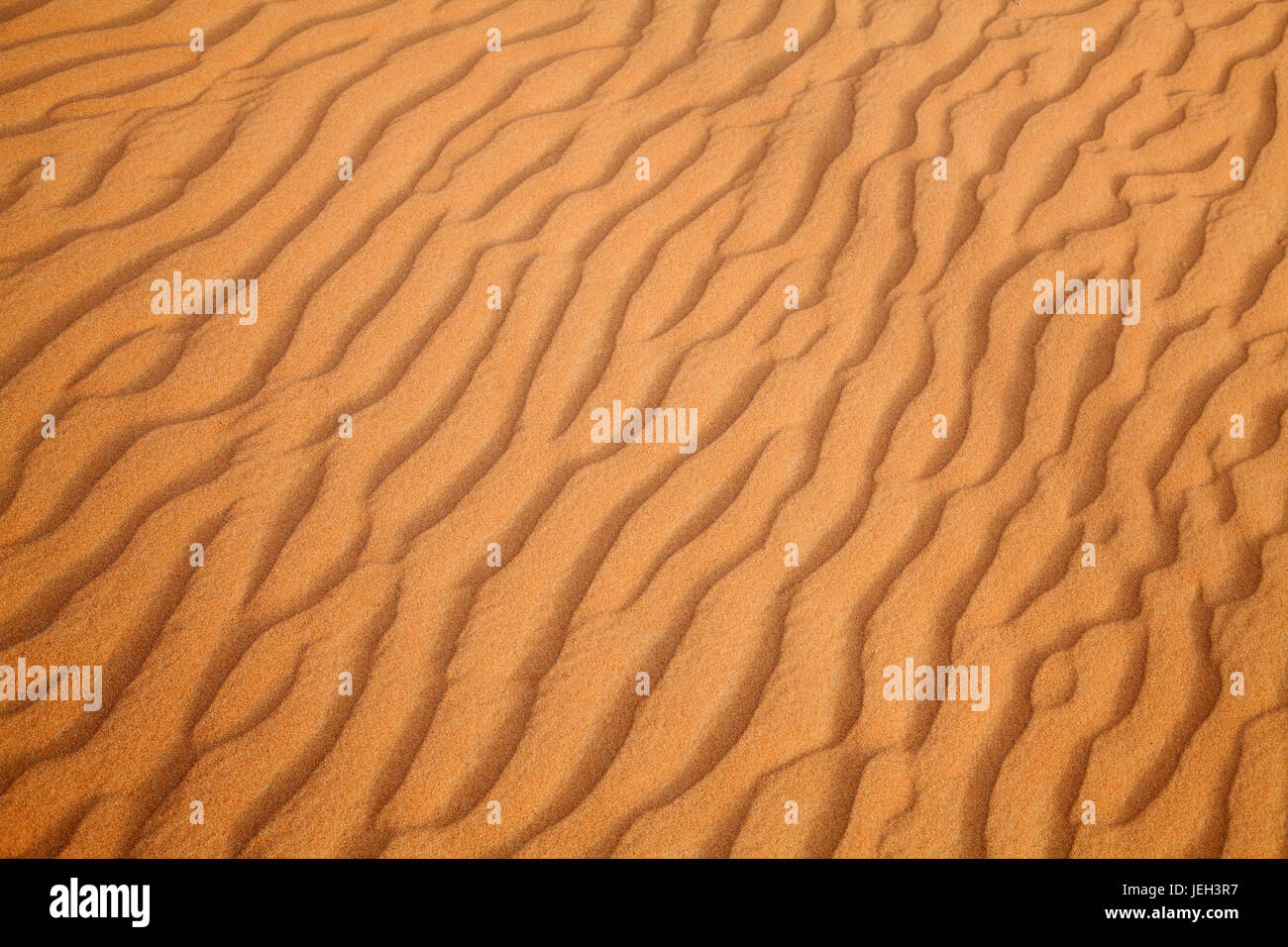 Red sand "Arabian desert" near Dubai, United Arab Emirates Stock Photo ...