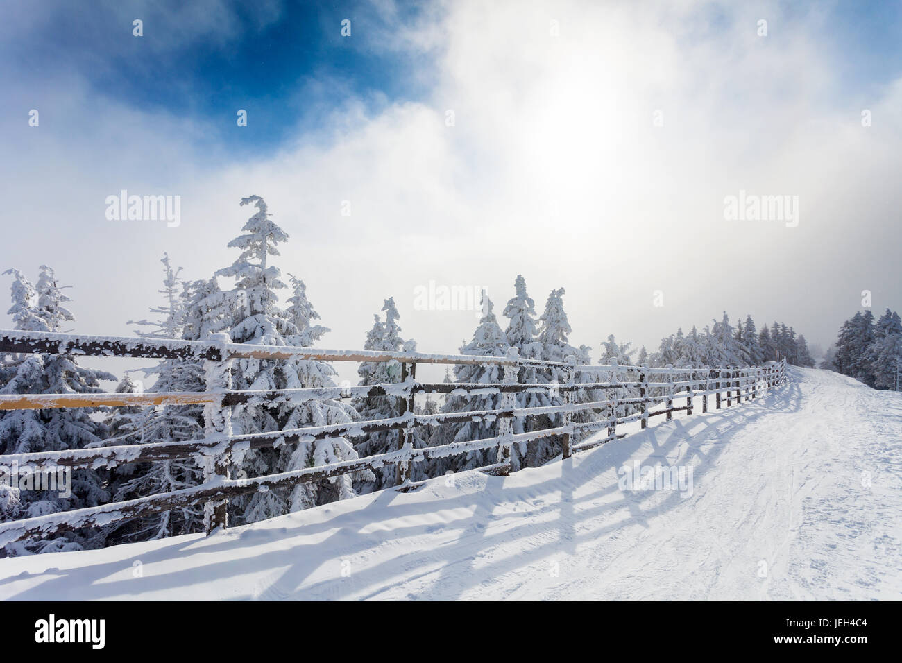 Winter trees and wooden fence covered in snow that borders a mountain ...