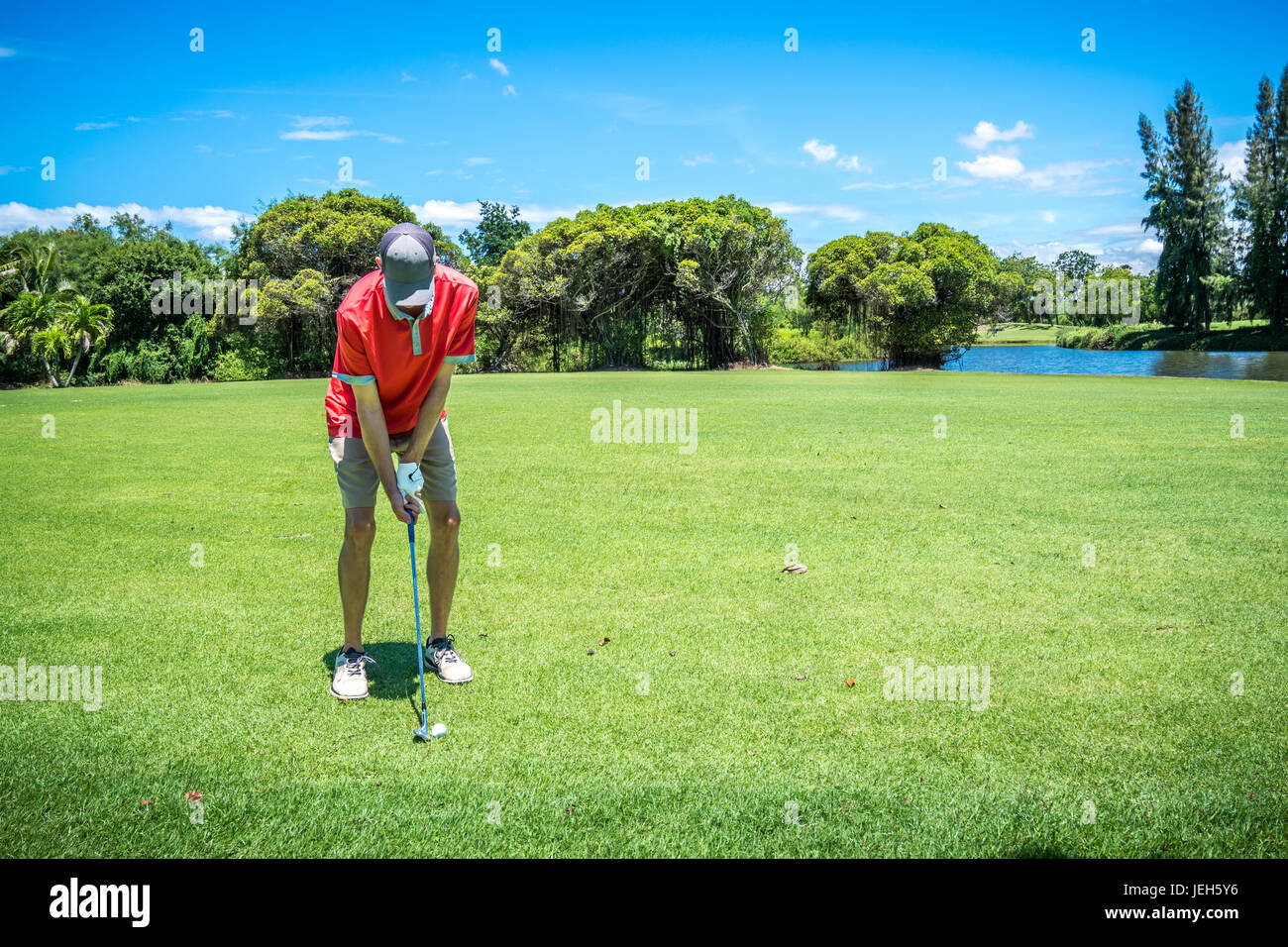 golfer playing golf with golf club on fairway Stock Photo - Alamy