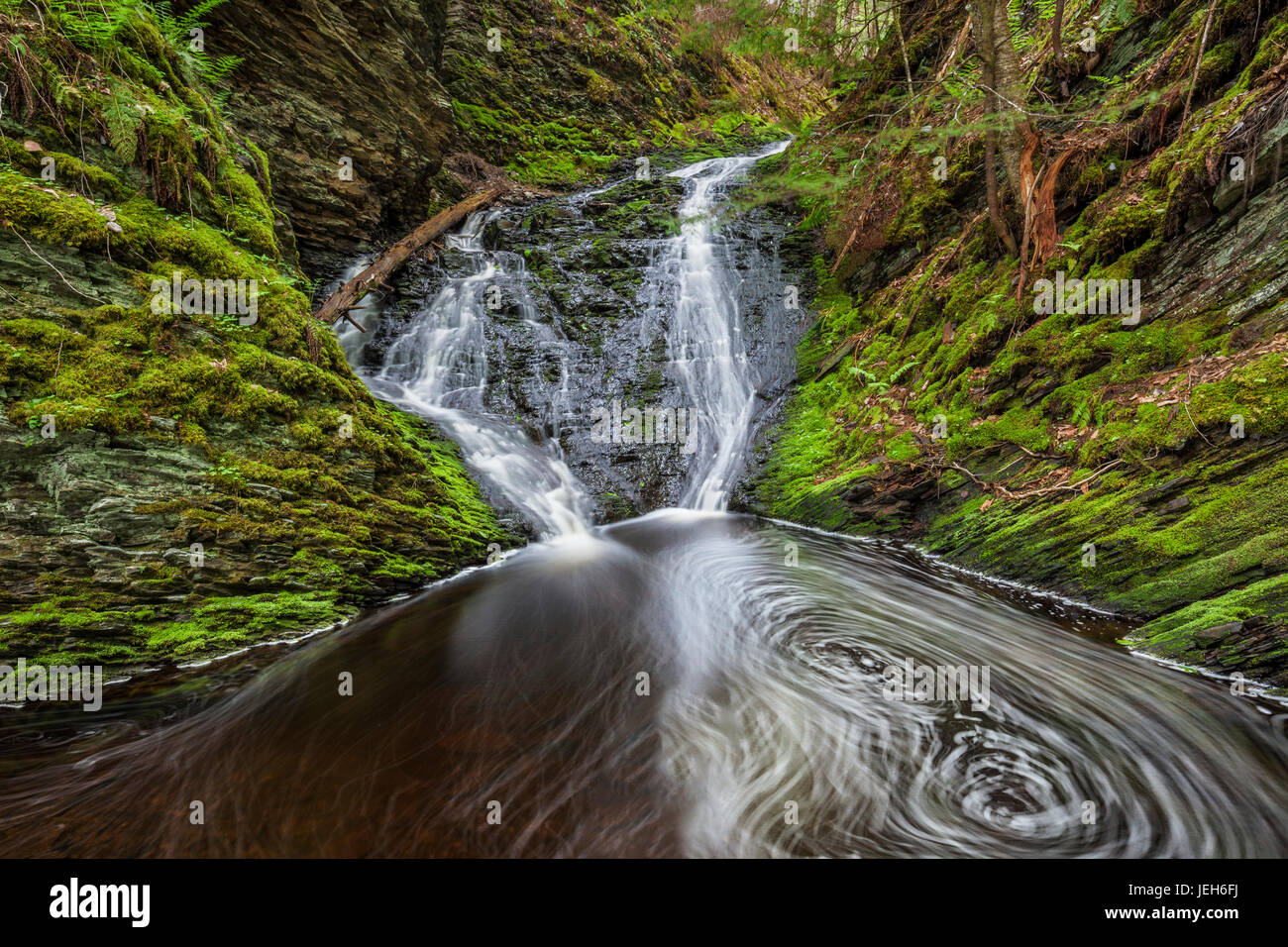 Waterfall and pool in a mossy forest ravine in springtime along Old ...