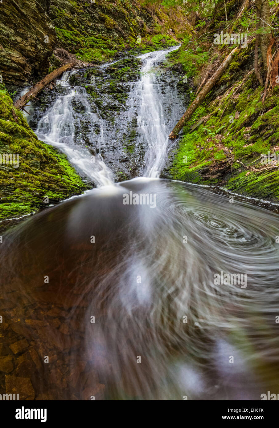 Waterfall and pool in a mossy forest ravine in springtime along Old ...