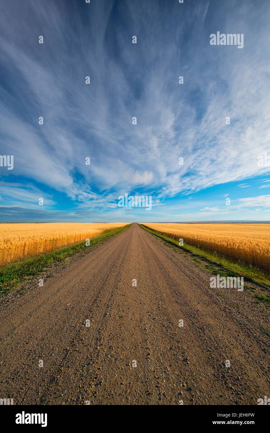 Canada prairie road hi-res stock photography and images - Alamy