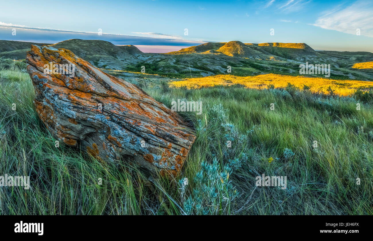A lichen covered rock with 70 Mile Butte in the distance, Grasslands ...