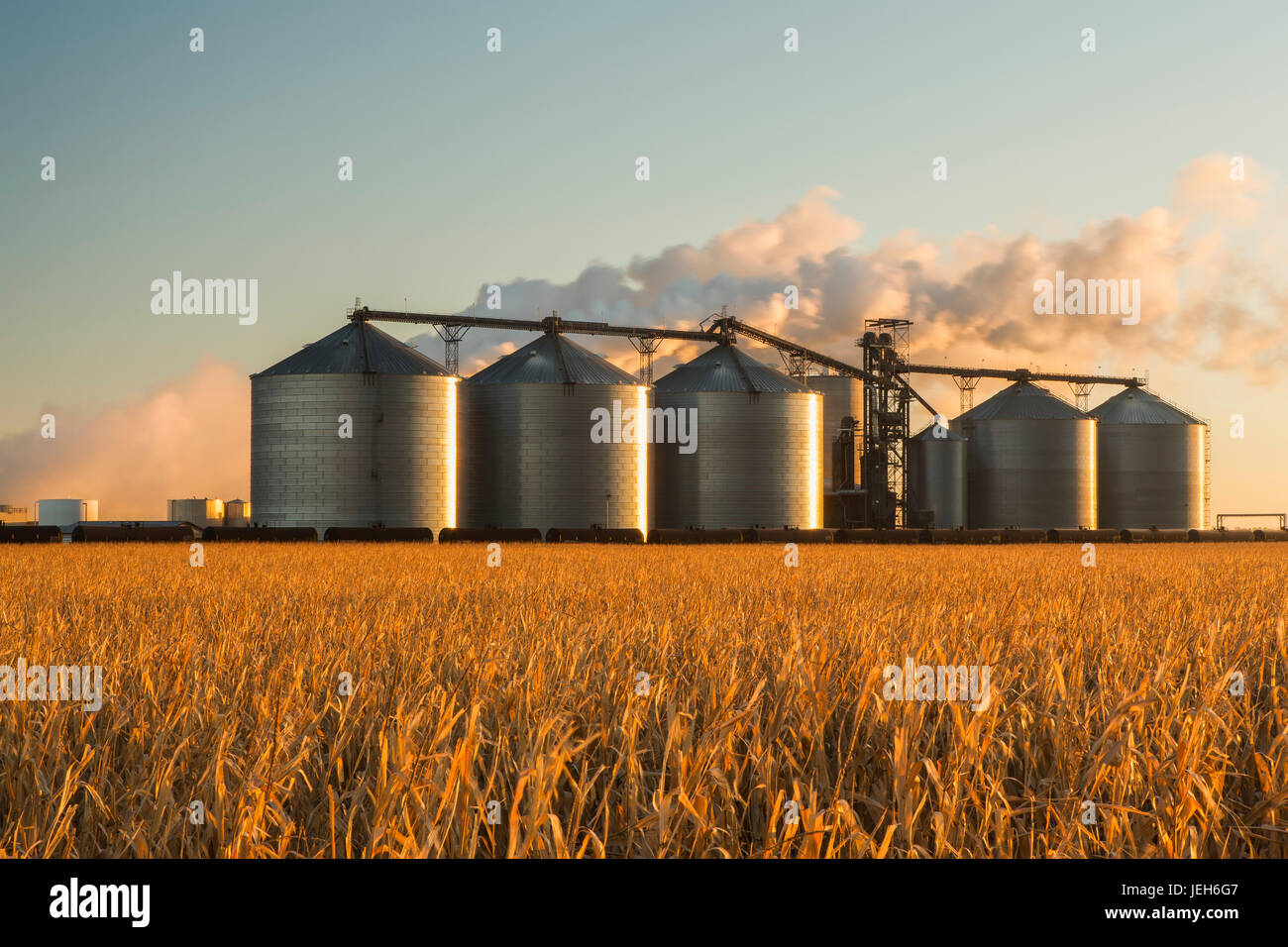 The Poet Biorefinery, an ethanol producer, and corn field, near Groton ...