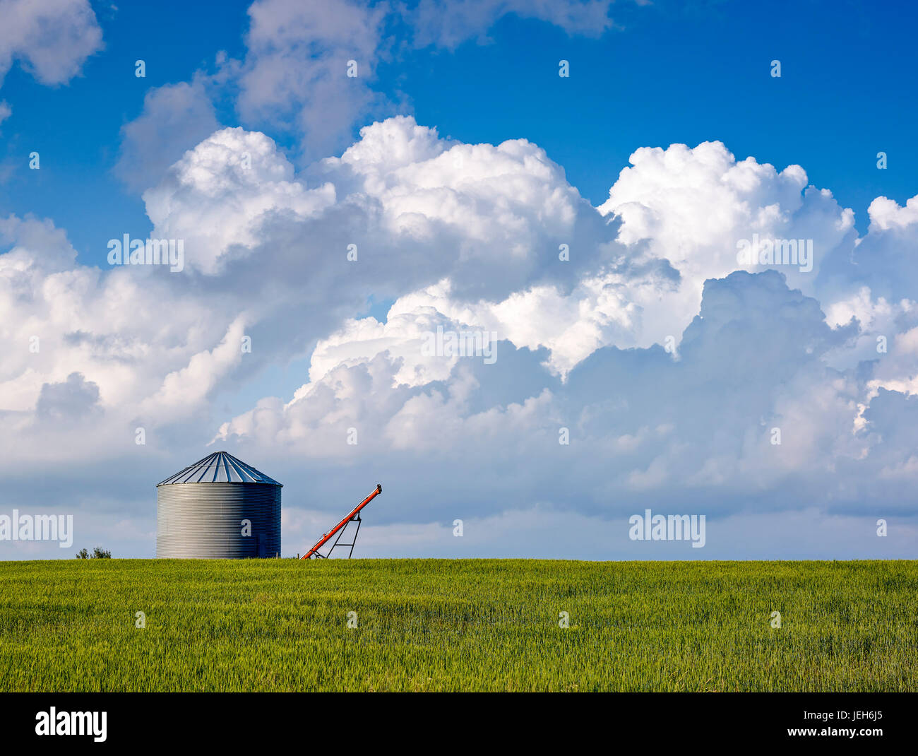 Farm silo green field hi-res stock photography and images - Alamy