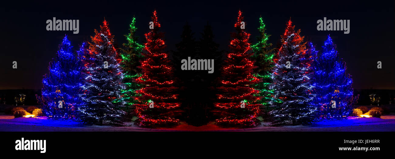 Alberta christmas christmas trees hi-res stock photography and images ...