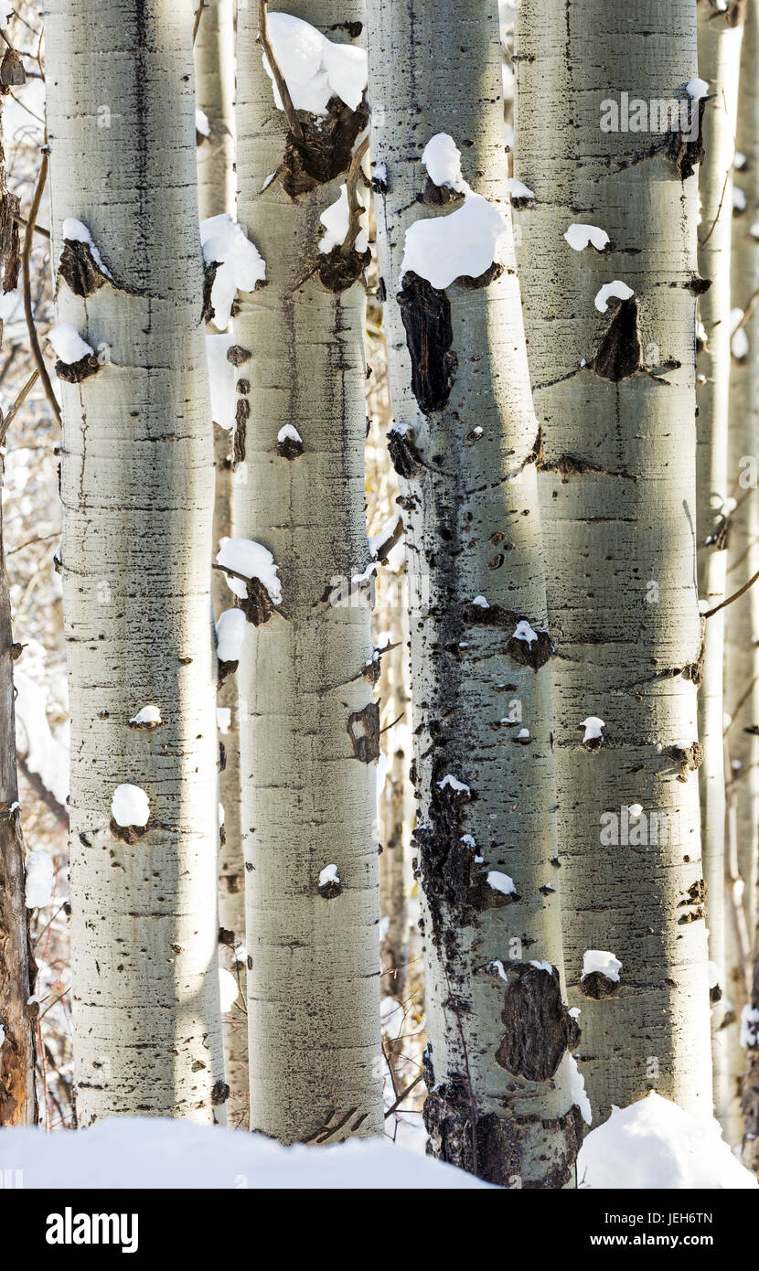 Invermere british columbia hi-res stock photography and images - Alamy