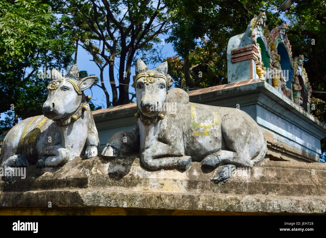 Statues of sacred cows on Hindu temple; Tenkasi, Tamil Nadu, India ...