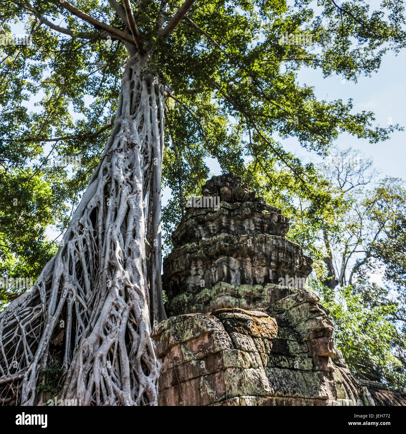 Ta prohm kel temple hi-res stock photography and images - Alamy