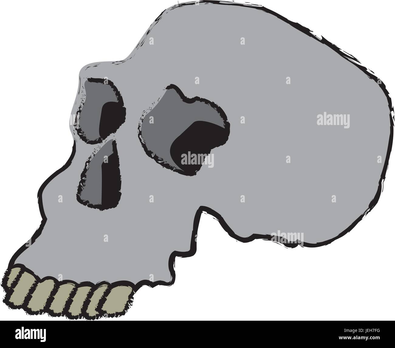 skull human structure anatomy bone icon Stock Vector Image & Art - Alamy