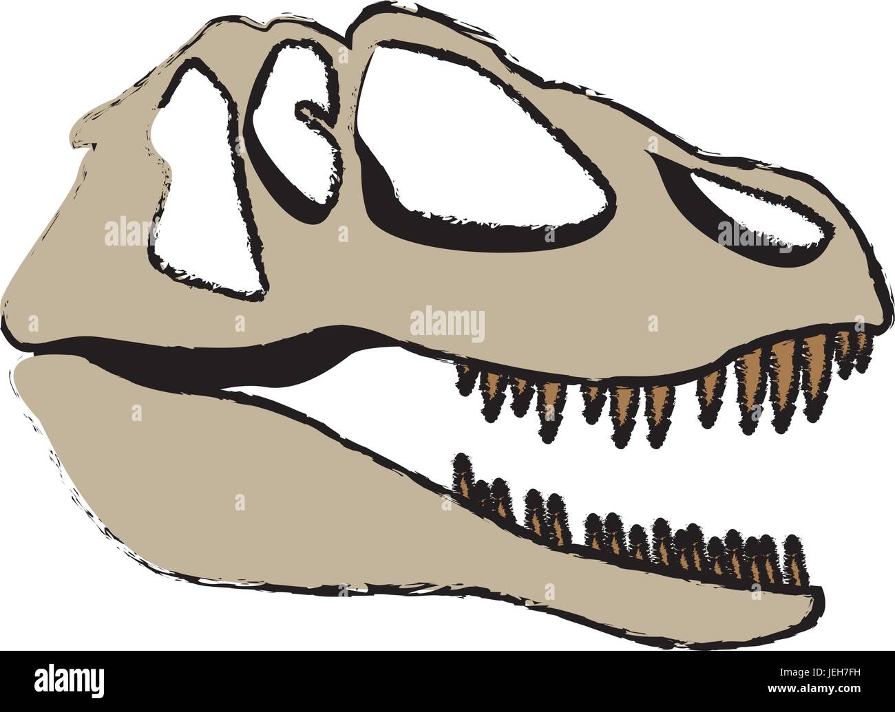 fossil dinosaur head skeleton lizard animal bone Stock Vector Image ...