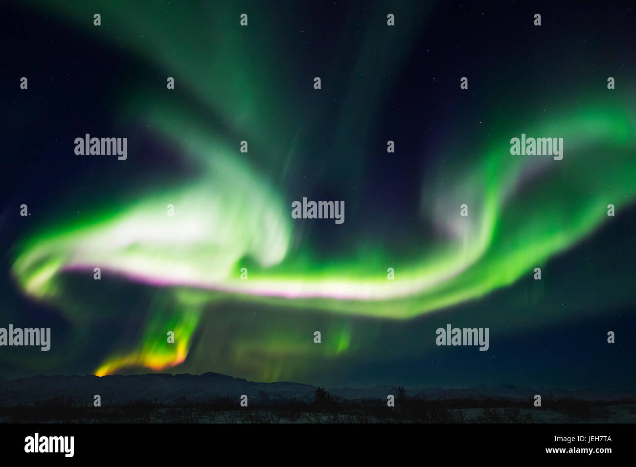 Delta junction alaska hi-res stock photography and images - Alamy