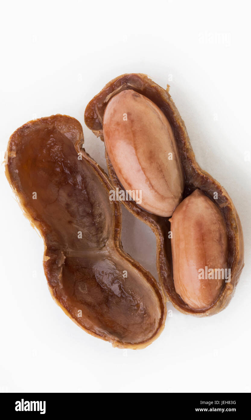 A half open boiled peanut on white background; Honolulu, Oahu, Hawaii ...