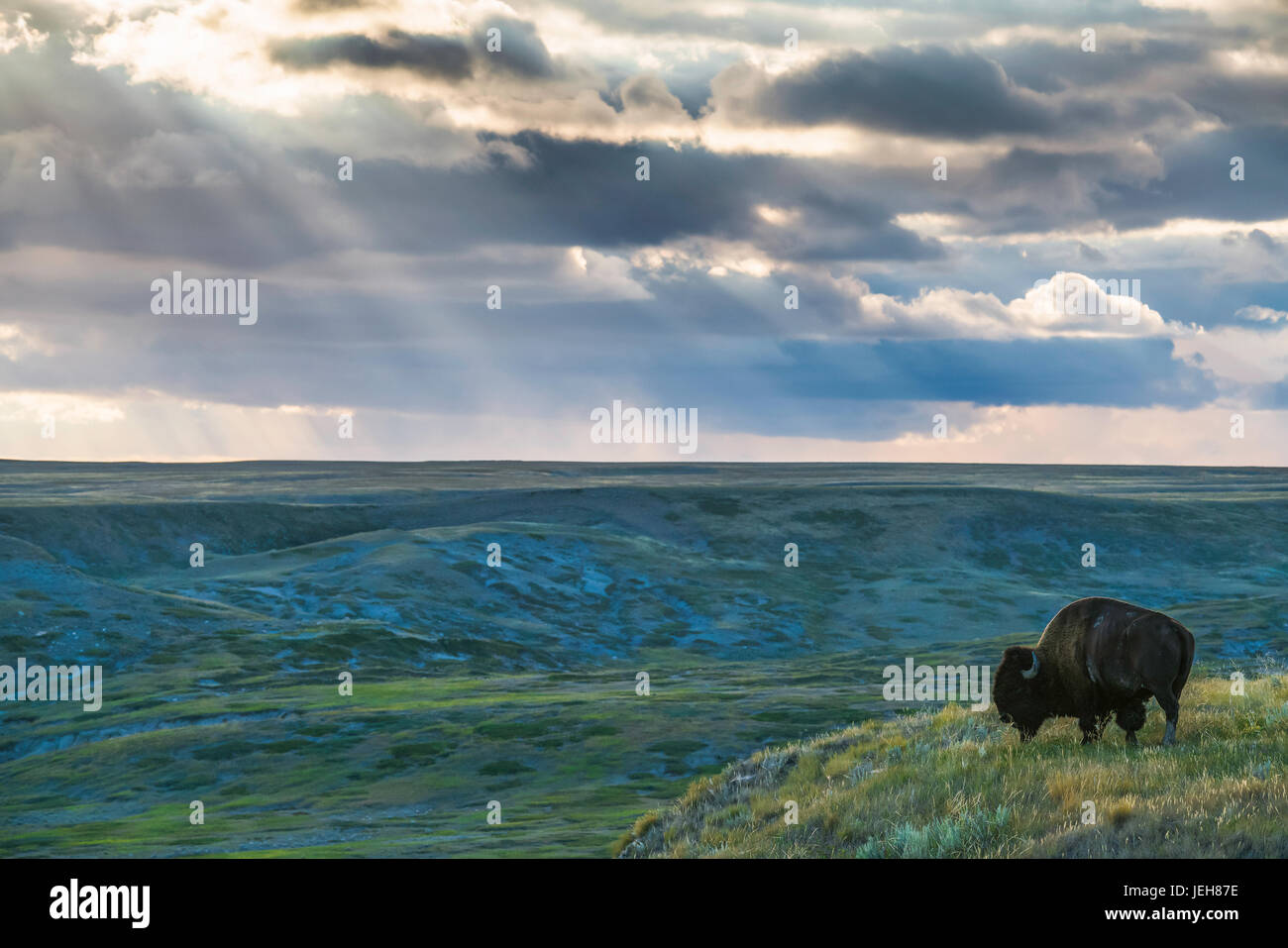 Grasslands national park saskatchewan hi-res stock photography and ...