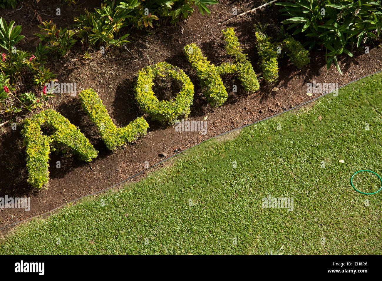Aloha written in plants; Wailea, Maui, Hawaii, United States of America ...