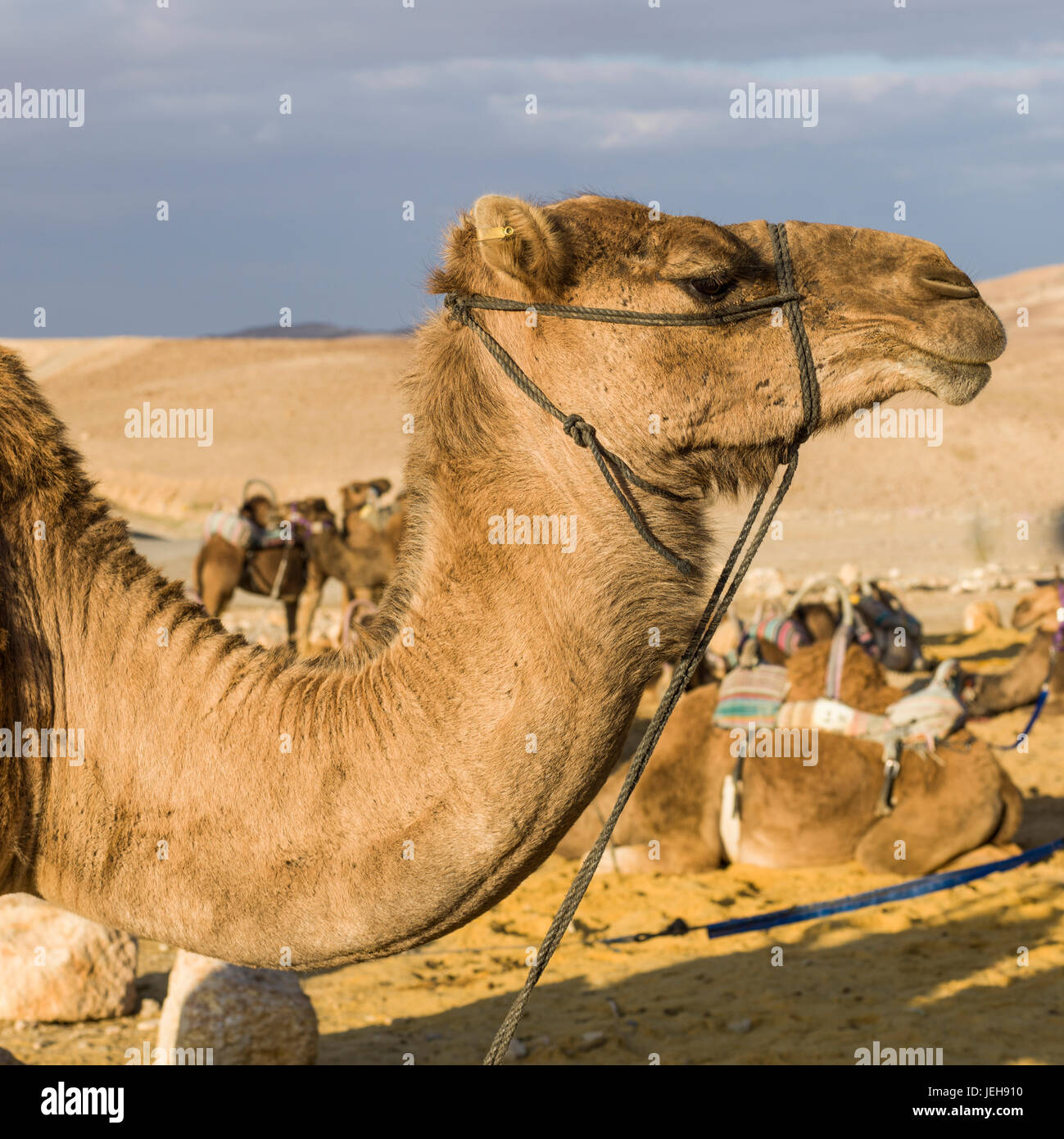 Hanokdim hi-res stock photography and images - Alamy