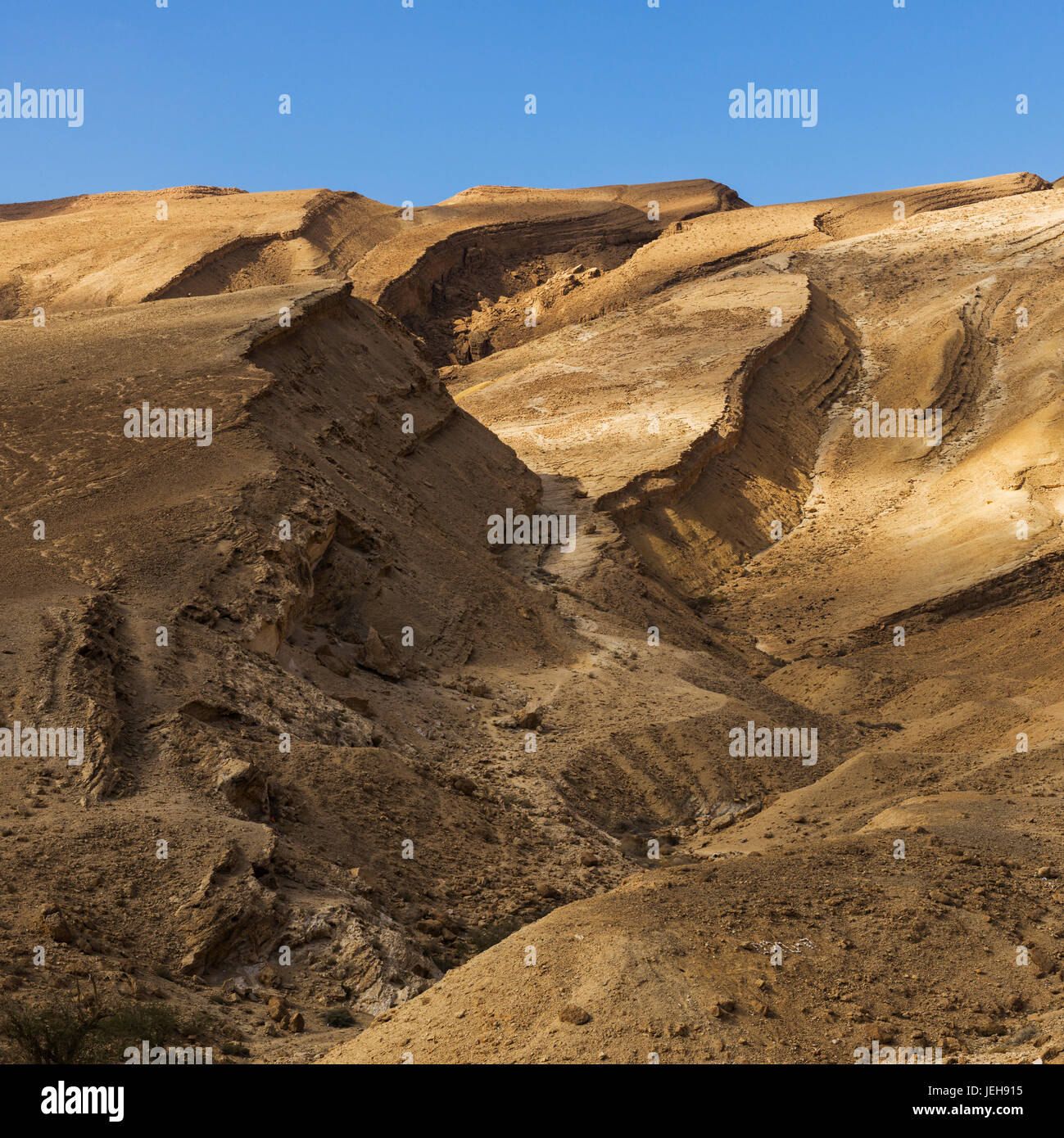 Arava hi-res stock photography and images - Alamy