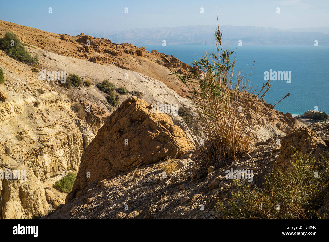 Landscape image of israel hi-res stock photography and images - Alamy