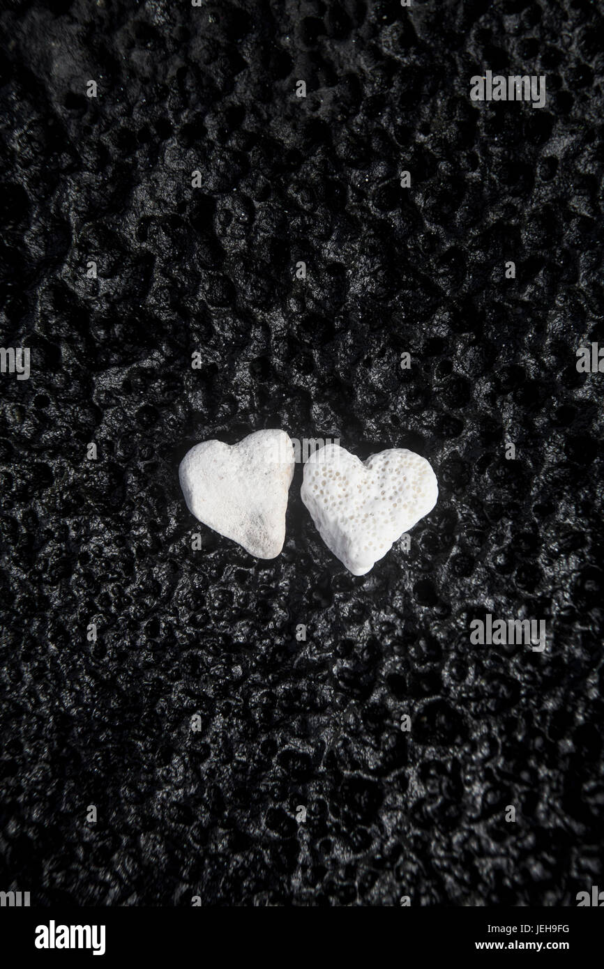 Two white coral heart shaped rocks placed together on a wet lava rock ...