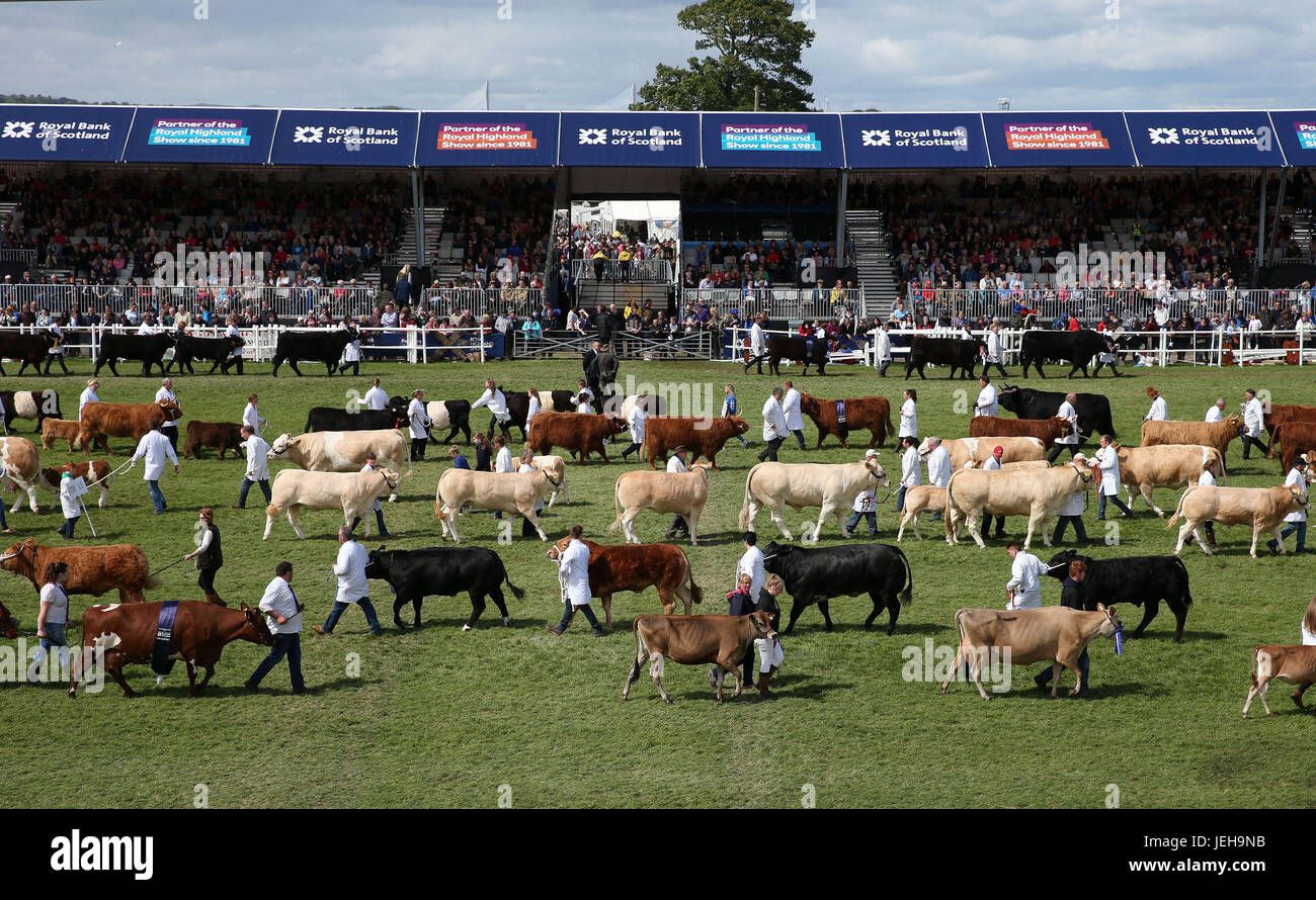 The grand parade of livestock in the showground during the Royal ...