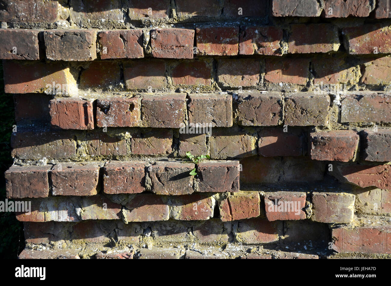Old weather beaten stone wall of a ruin Stock Photo - Alamy