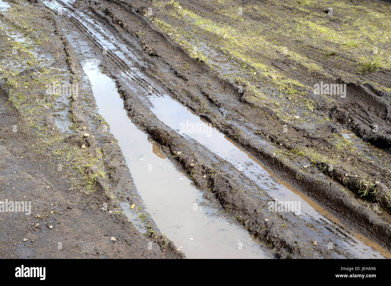 Muddy wheel track Stock Photo - Alamy