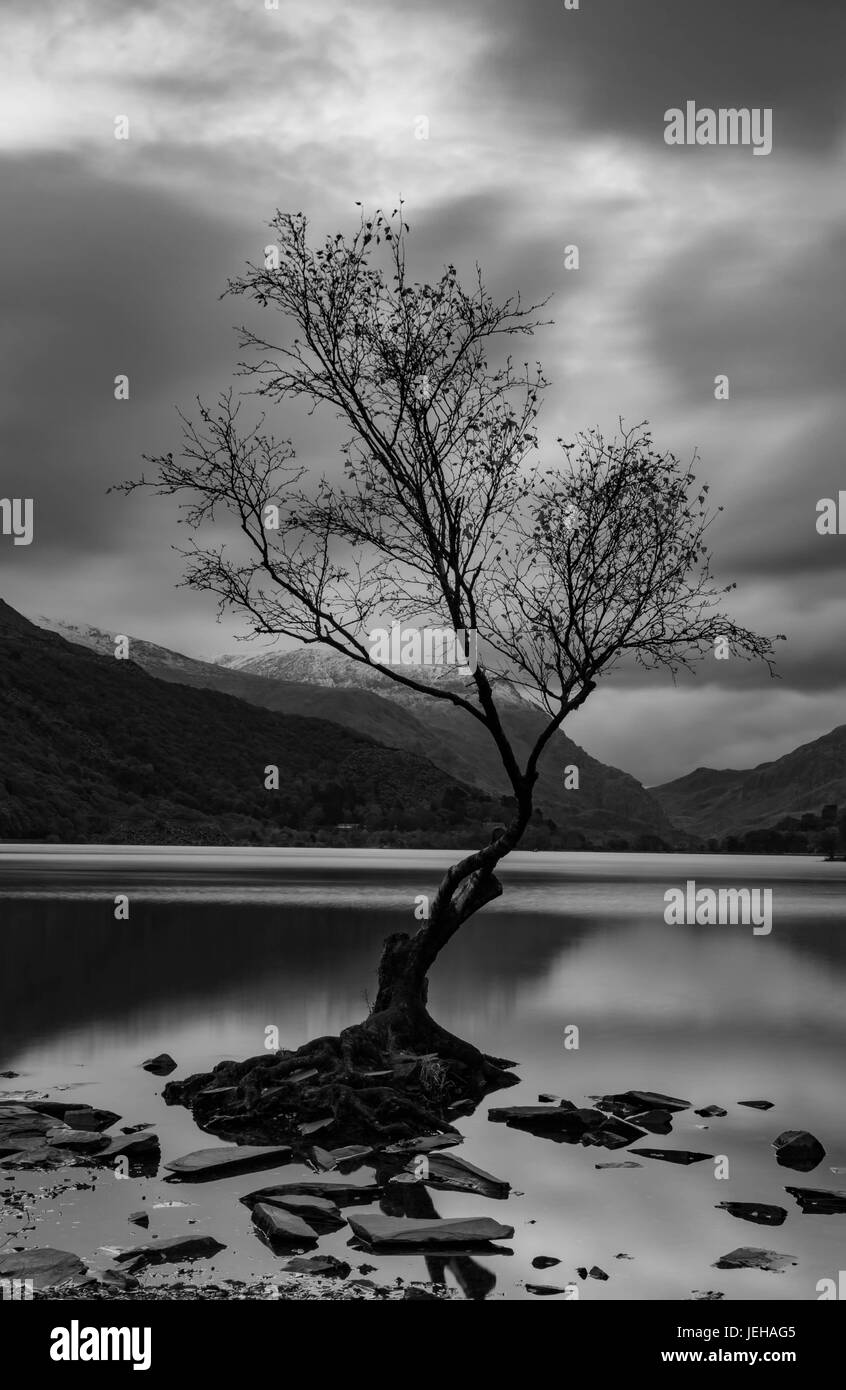 Setting on beach Black and White Stock Photos & Images - Alamy