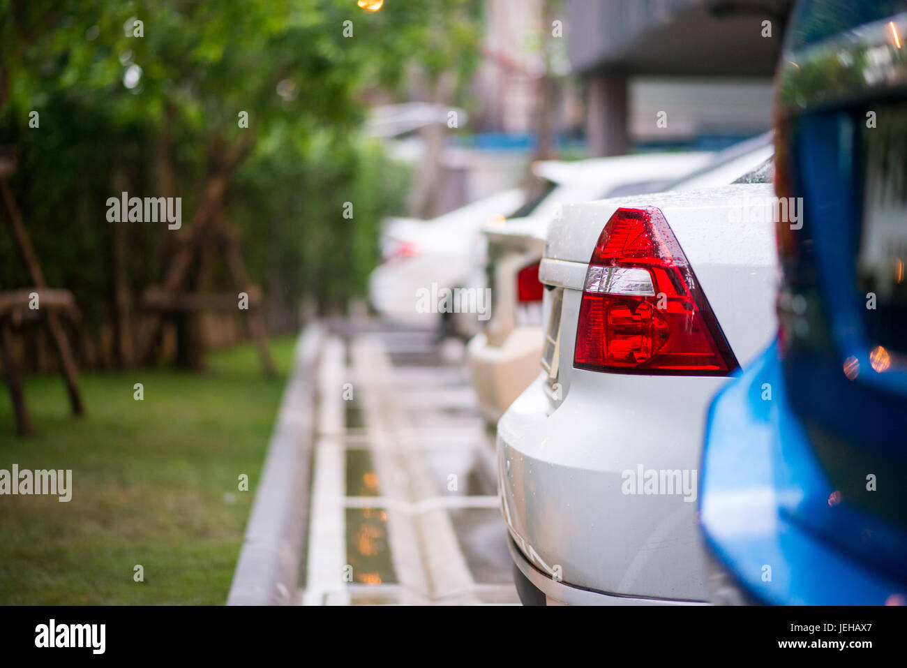 Parking transportation automobile crowded tree hi-res stock photography ...