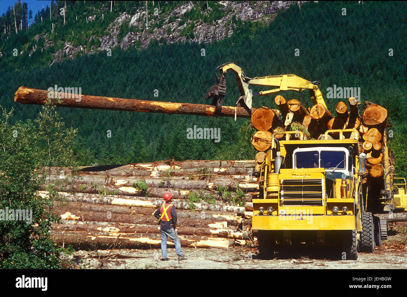 Loggers in work Stock Photo - Alamy