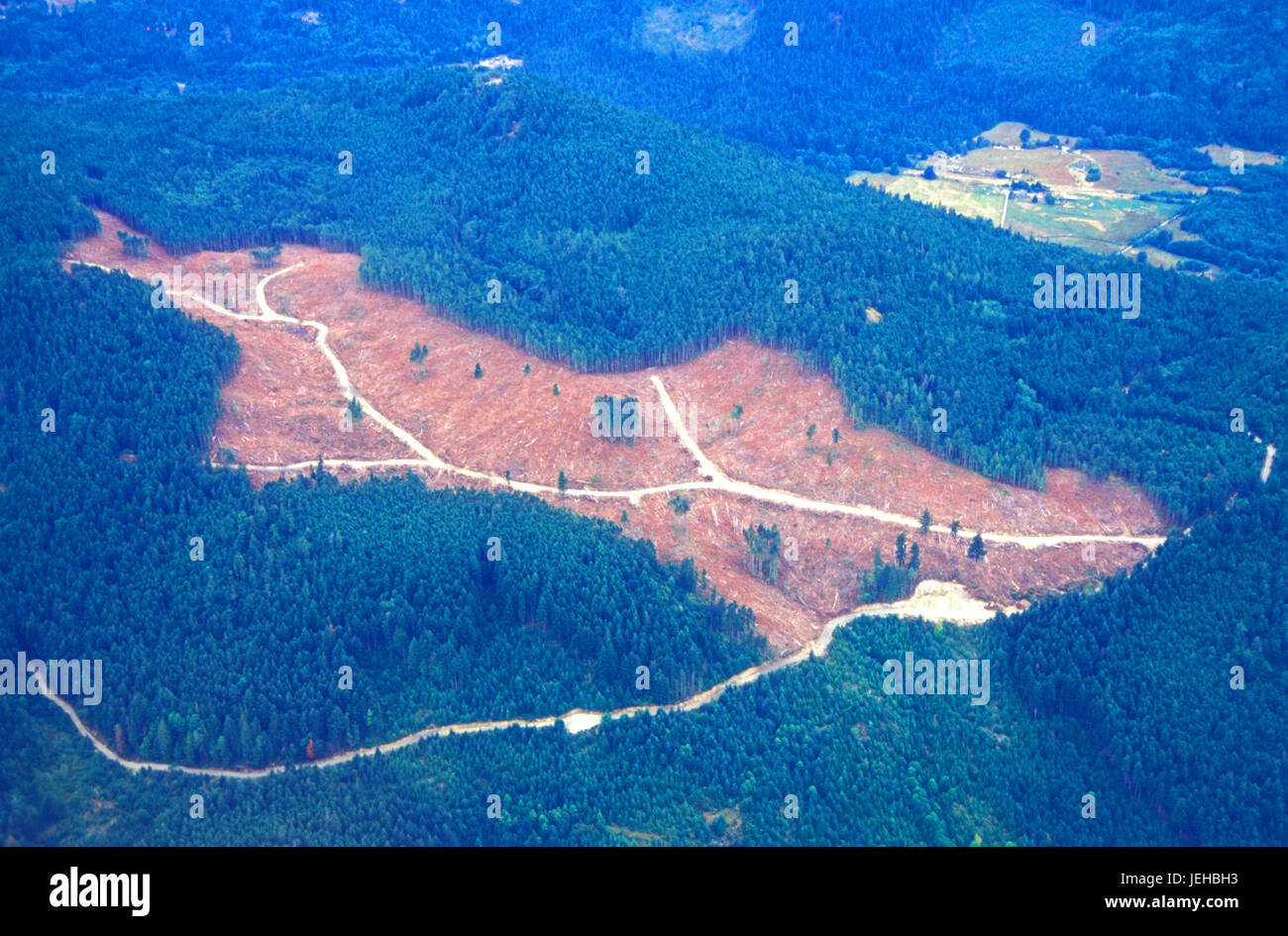 aerial view above clear cutting forest, Canada Stock Photo - Alamy