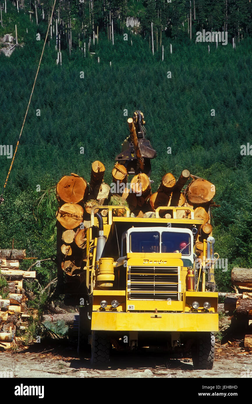 Loggers in work - wood industry Stock Photo - Alamy