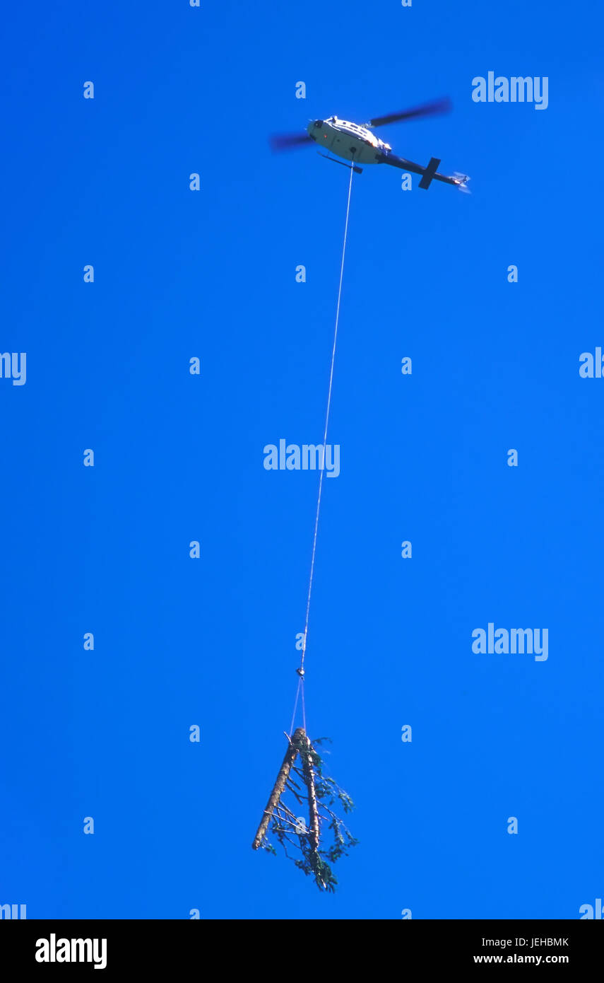 Helicopter logging hi-res stock photography and images - Alamy