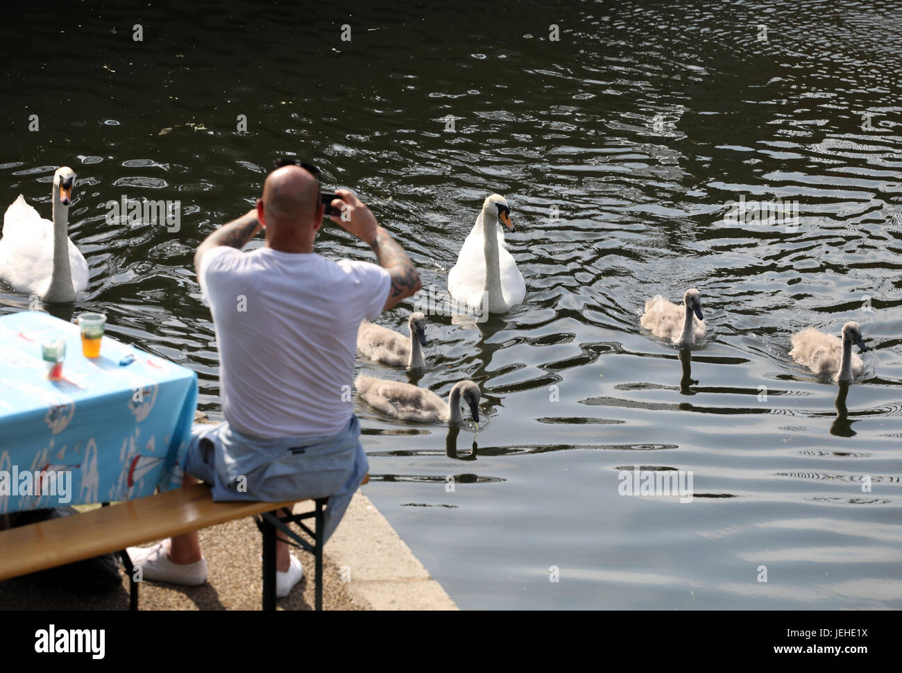 Pic shows: Granary Square King's Cross Hot Weather Pic by Gavin Rodgers ...
