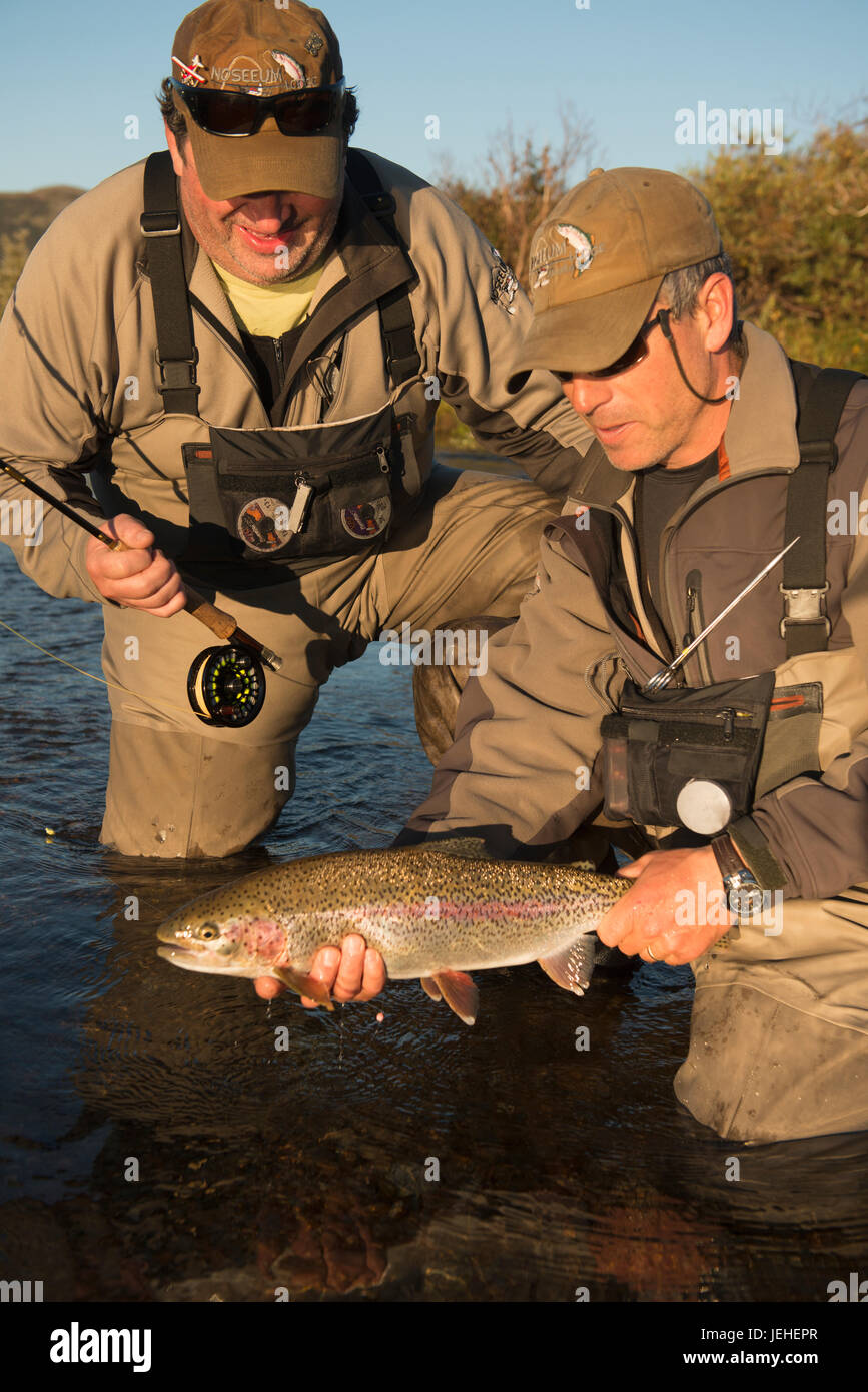 Releasing a fish back to a river hi-res stock photography and images ...