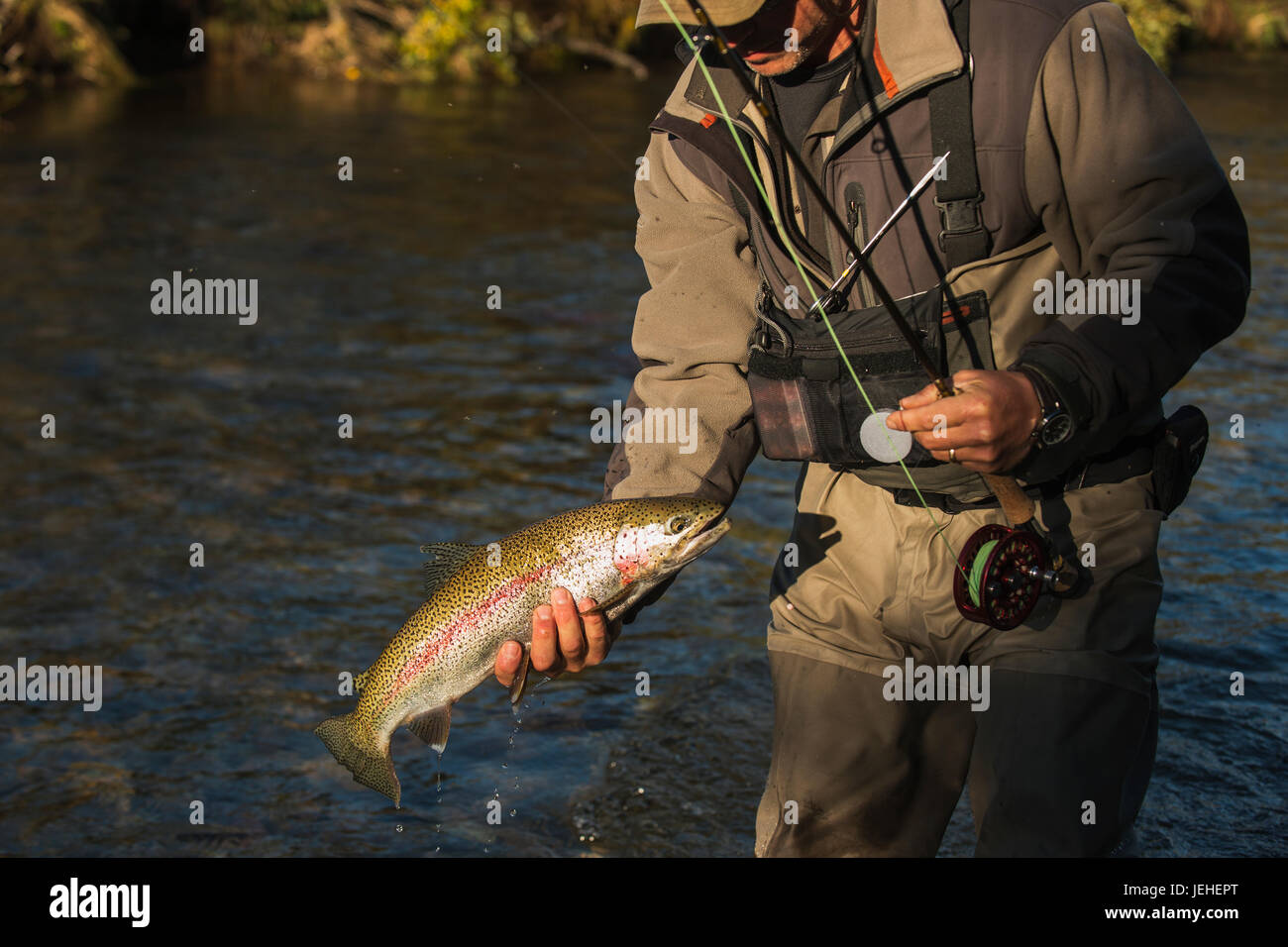 Angler releases a rainbow trout back into Kvichak River near Iliamna ...