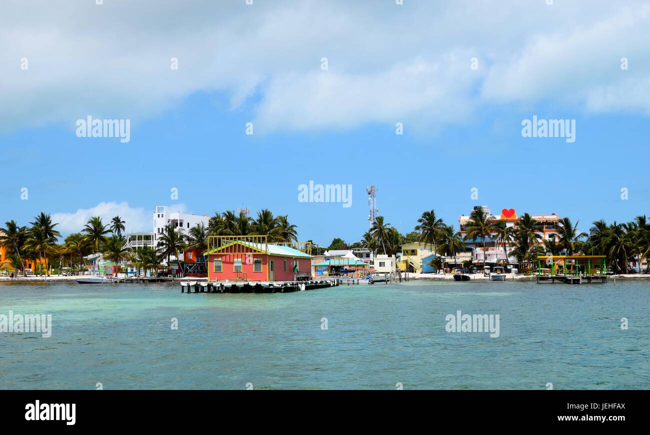 Caye caulker belize palm trees hi-res stock photography and images - Alamy