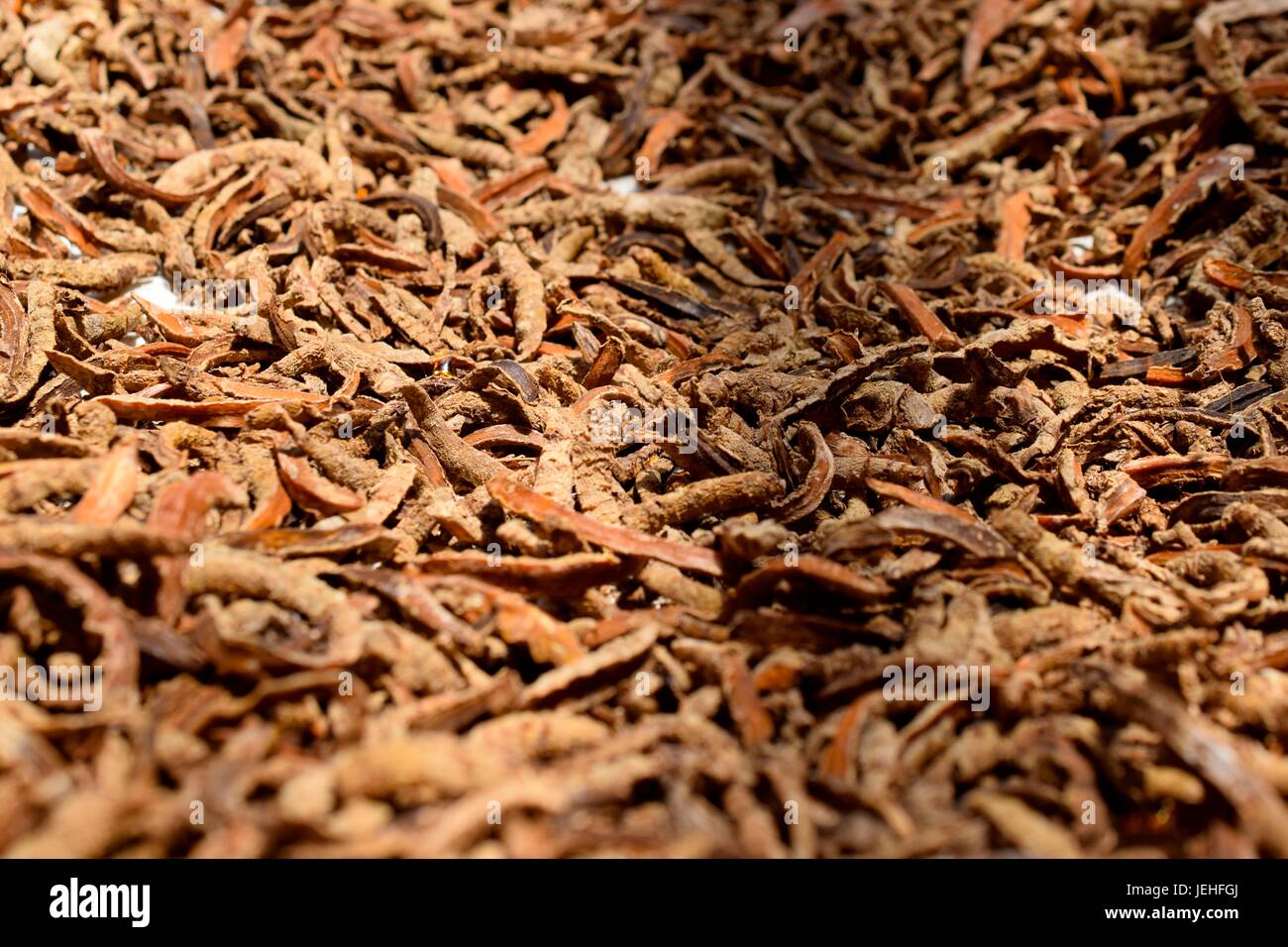 Drying turmeric hi-res stock photography and images - Alamy