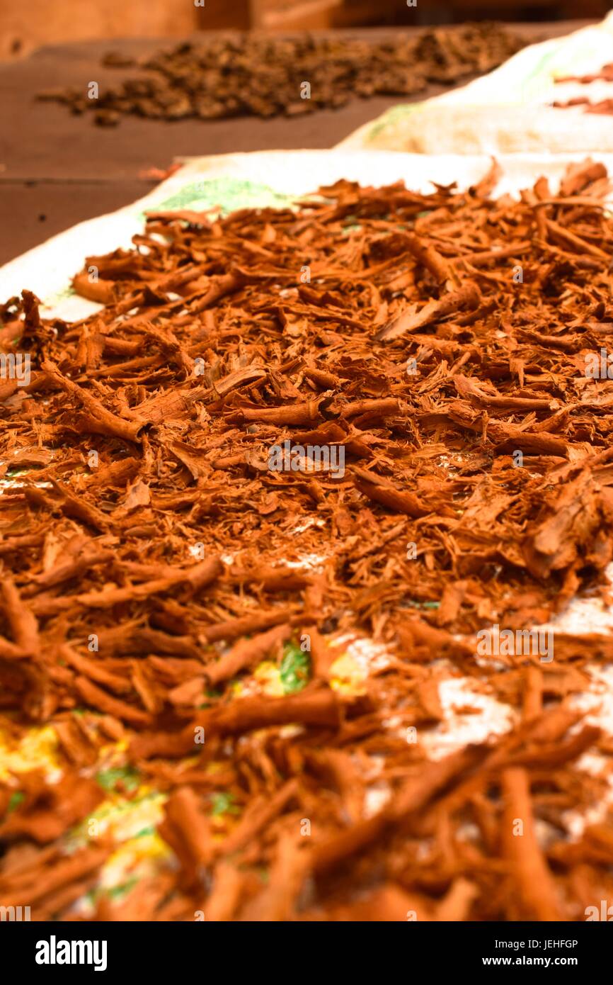 Drying cinnamon hi-res stock photography and images - Alamy