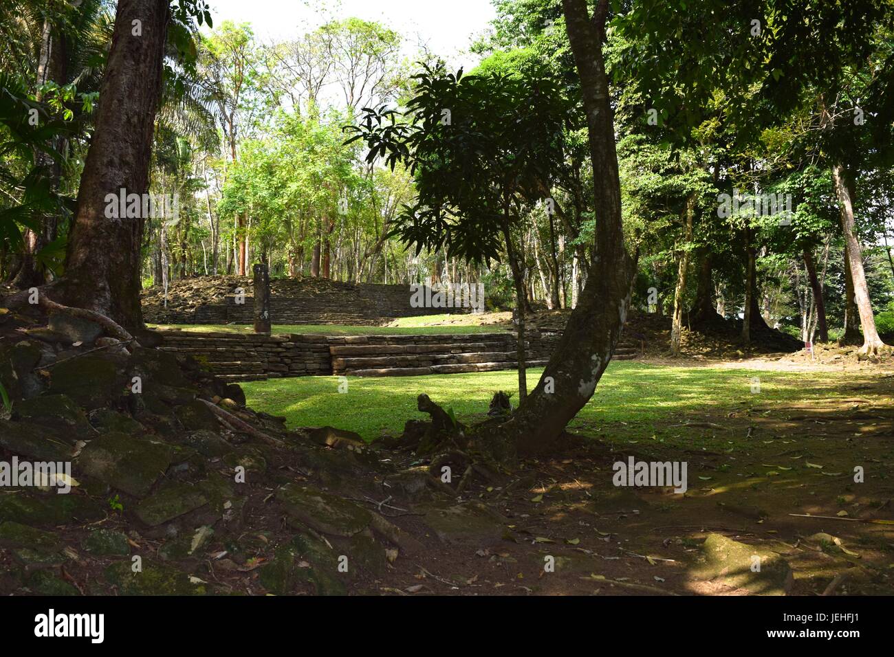 Mayan site Nim Li Punit Stock Photo - Alamy