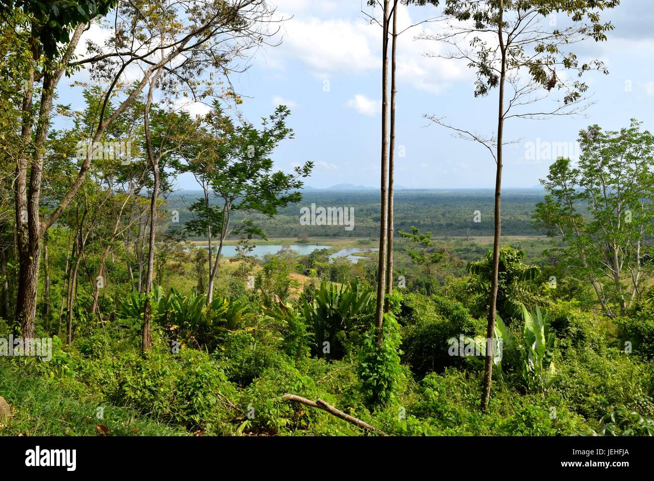 View of a lake from Nim Li Punit Mayan site Stock Photo - Alamy