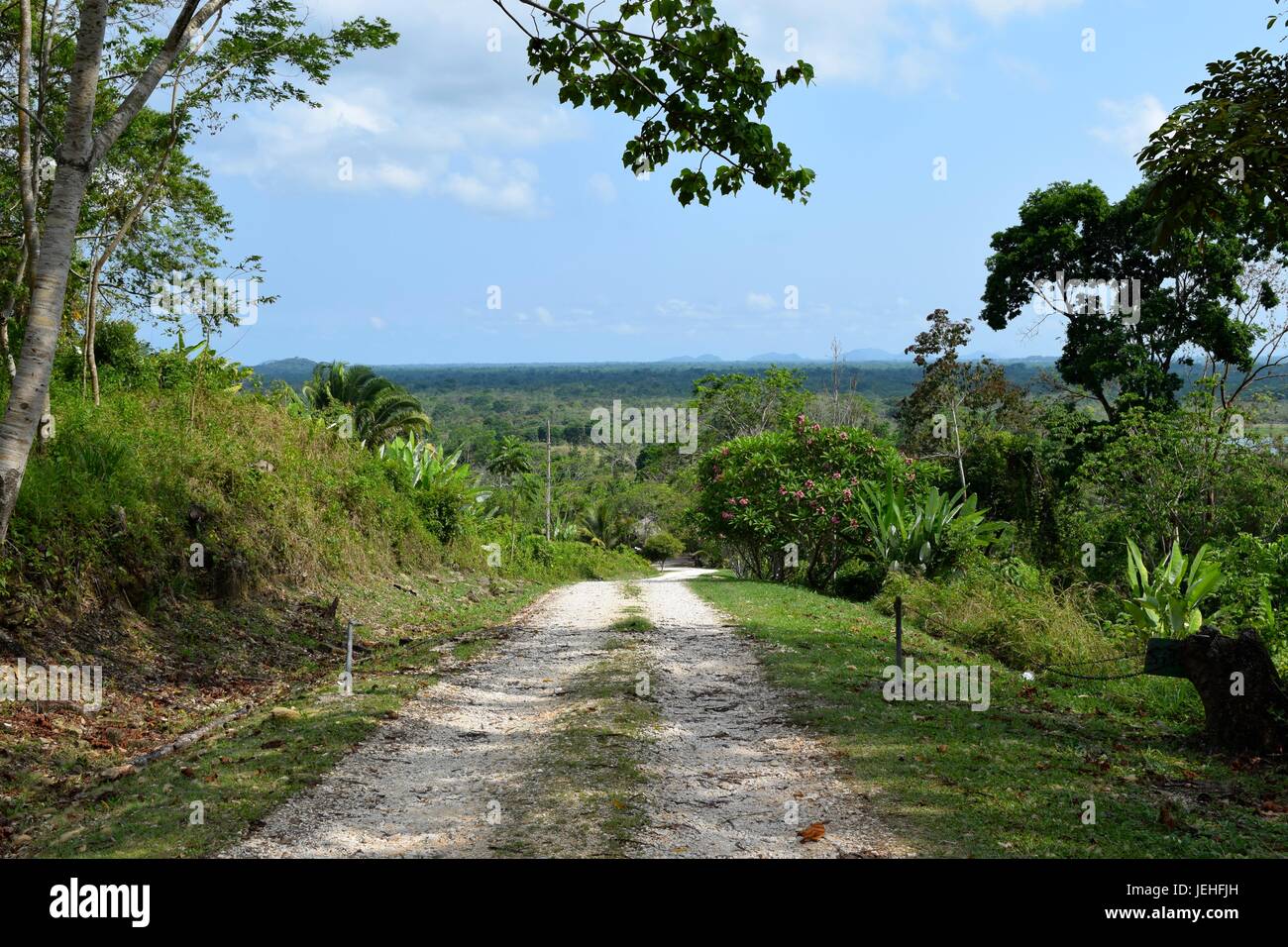 View from Nim Li Punit Mayan site Stock Photo - Alamy