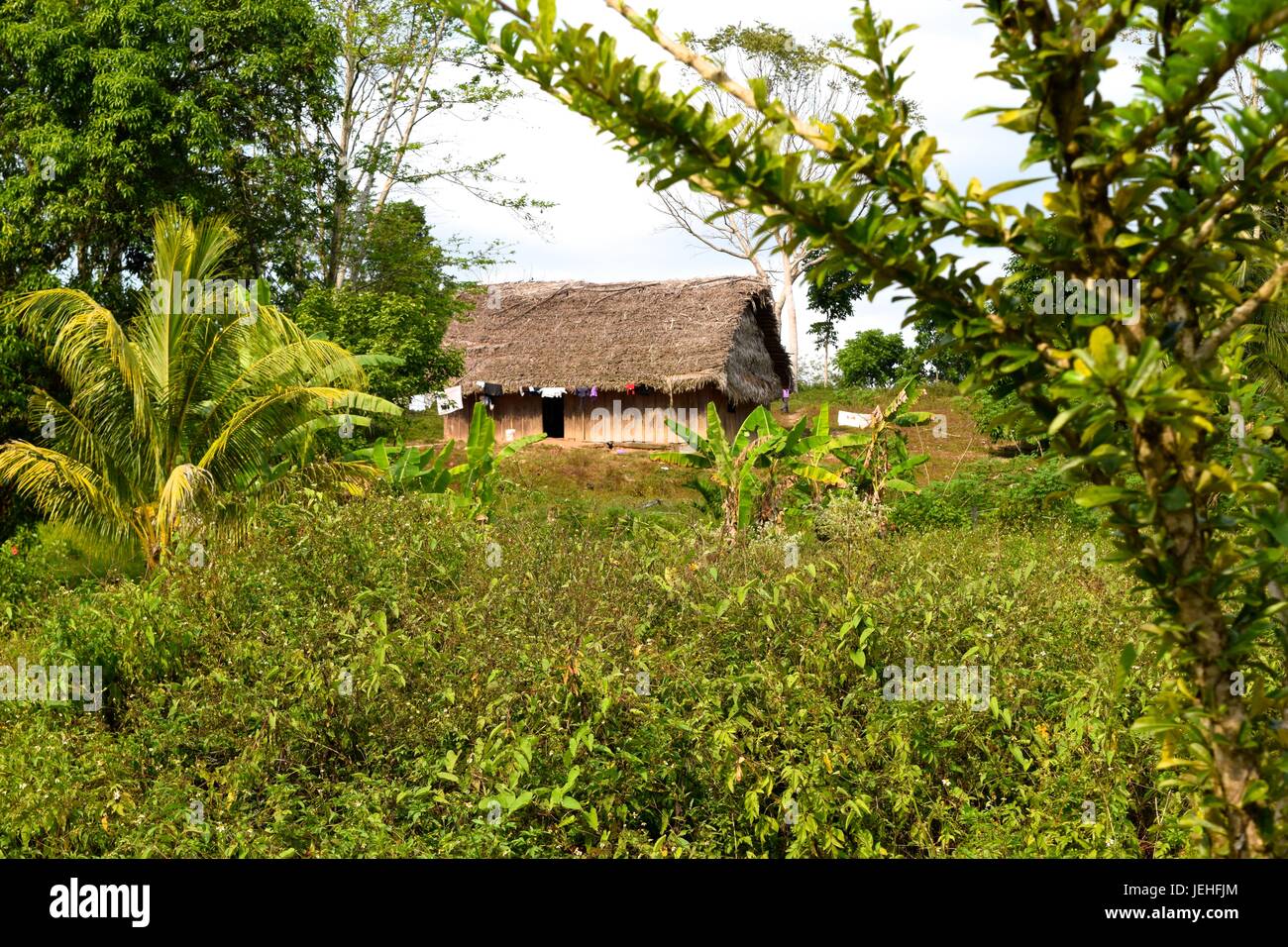 Traditional mayan house hi-res stock photography and images - Alamy