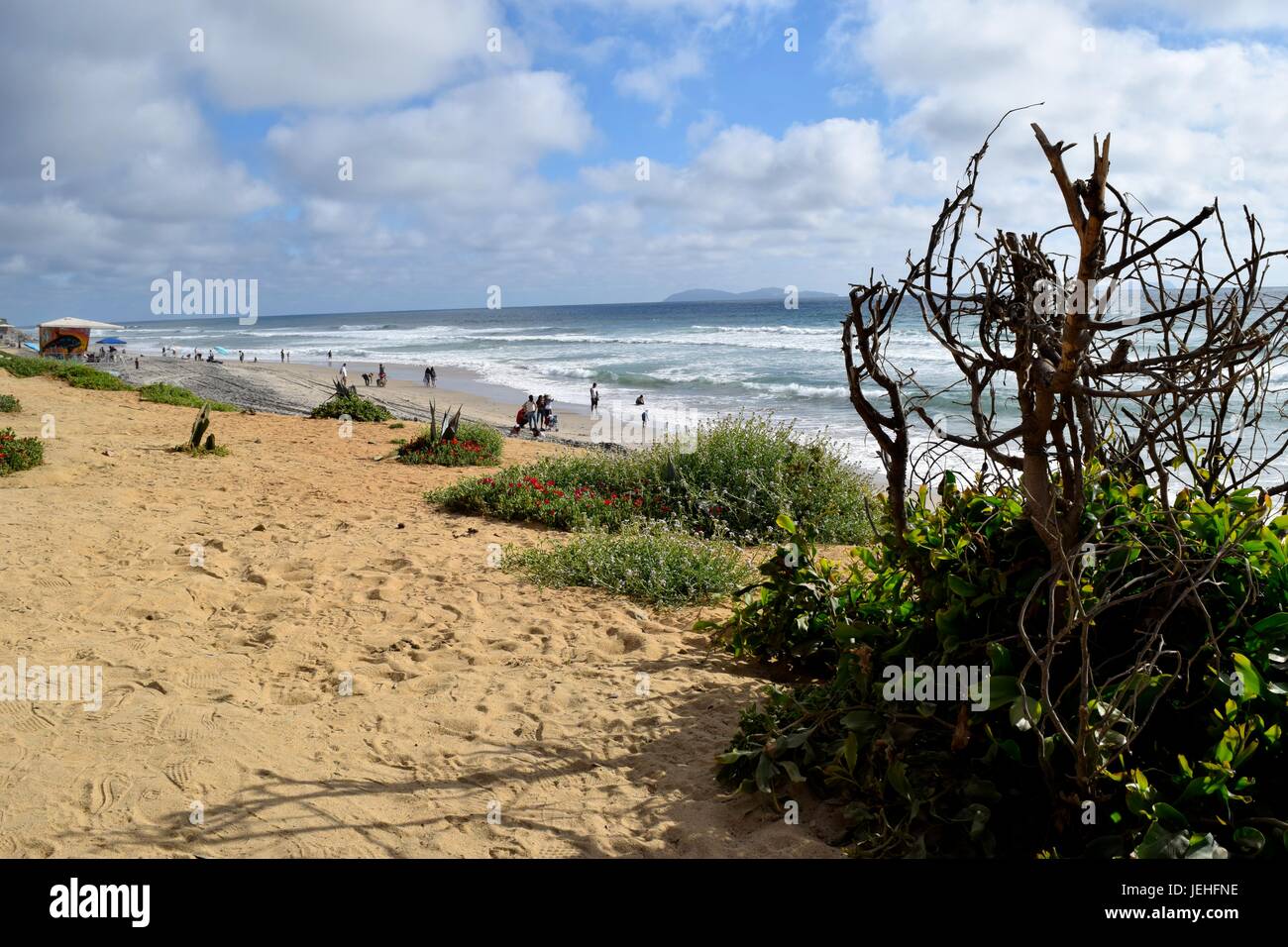 Tijuana hi-res stock photography and images - Alamy