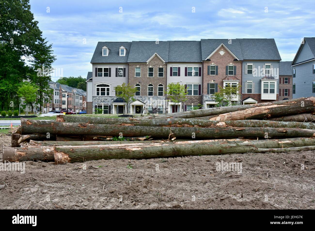 Deforestation site for new home building Stock Photo - Alamy