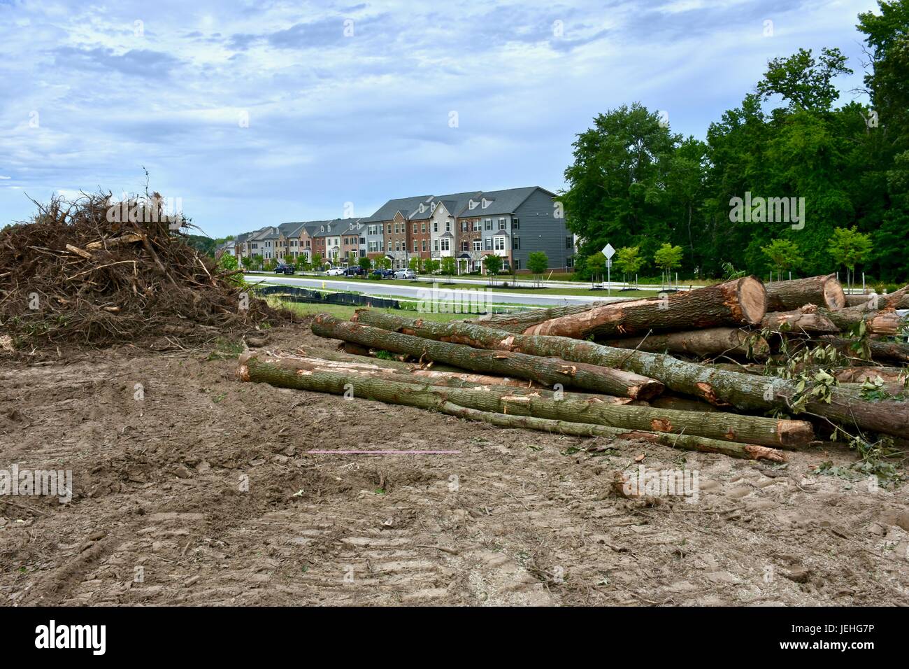 New clearcutting hi-res stock photography and images - Alamy