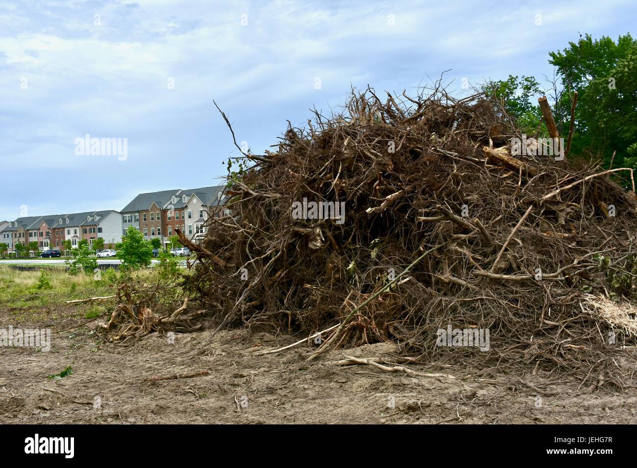 Deforestation site for new home building Stock Photo - Alamy
