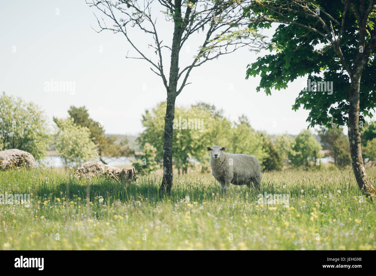 Standing under boulder hi-res stock photography and images - Alamy