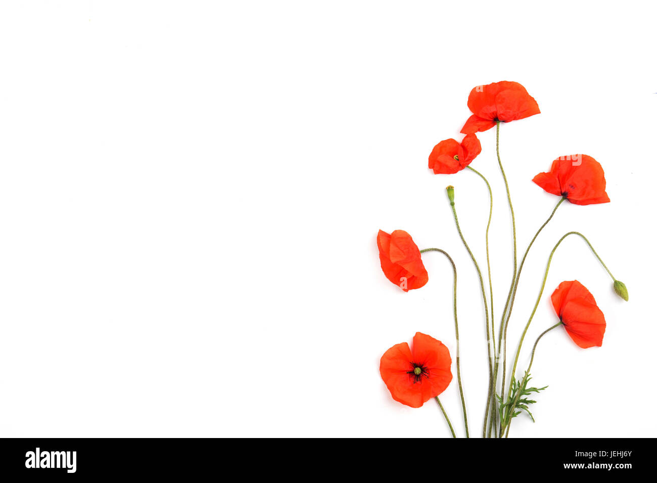 Red poppy top view Cut Out Stock Images & Pictures - Alamy