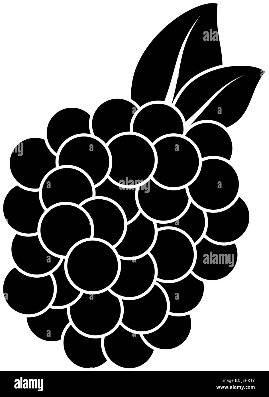 blackberry fruit icon over white background vector illustration Stock ...