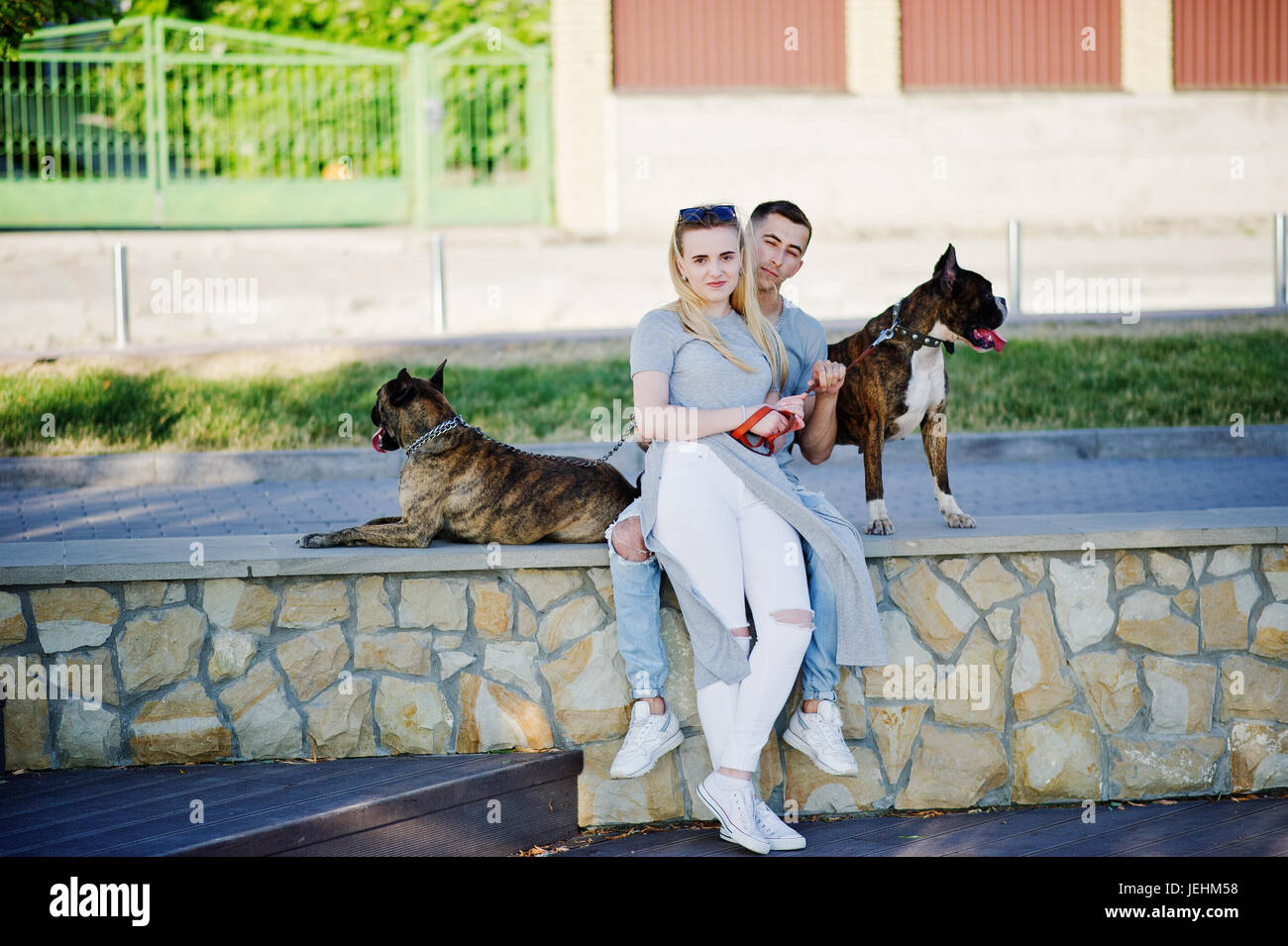 Couple in love with two dogs pit bull terrier on a walk Stock Photo - Alamy